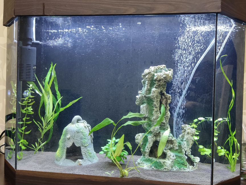 Грот для аквариума большой