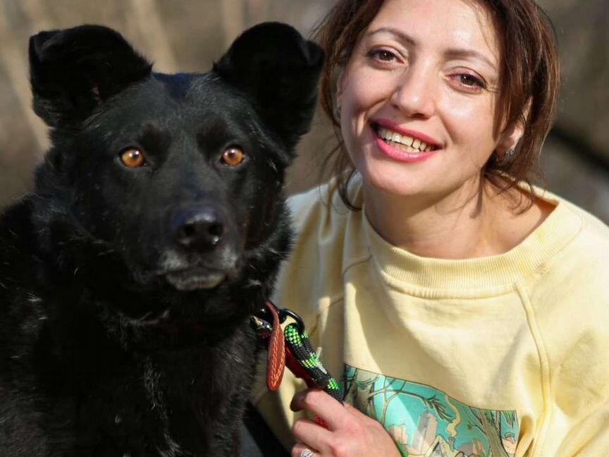 Великолепный парень тоскует в приюте