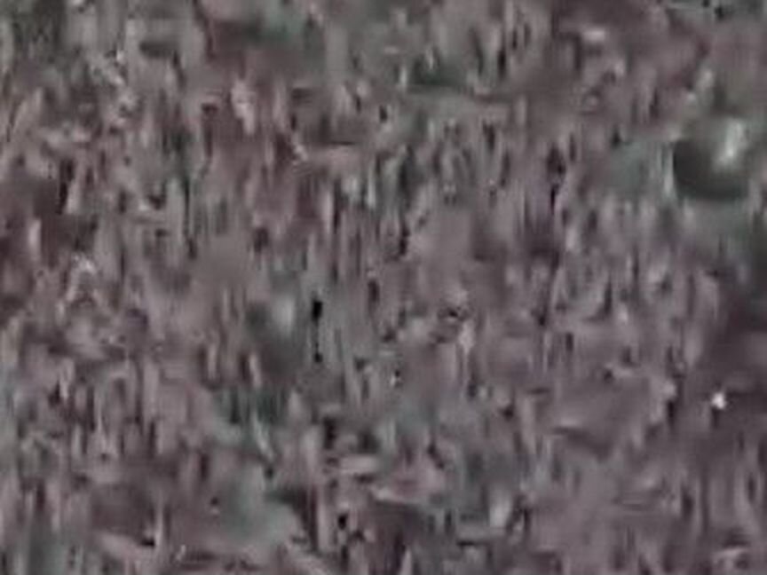 Ячмень Зерносмесь