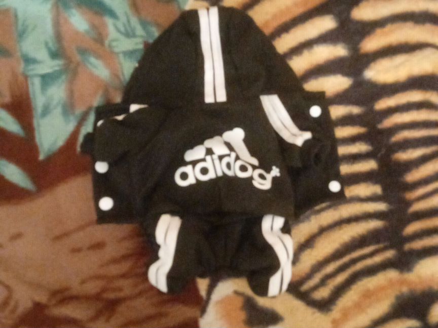 Костюм на маленькую собачку