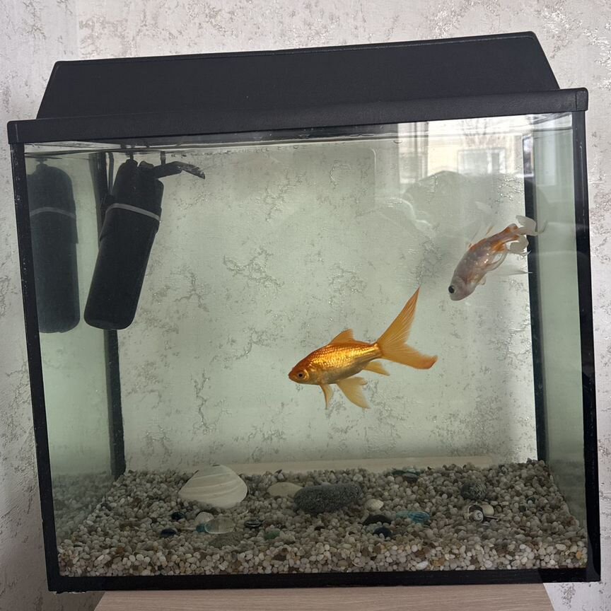 Аквариум с рыбками