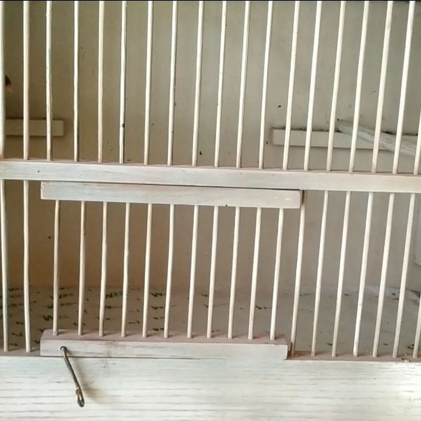 Клетка новая и