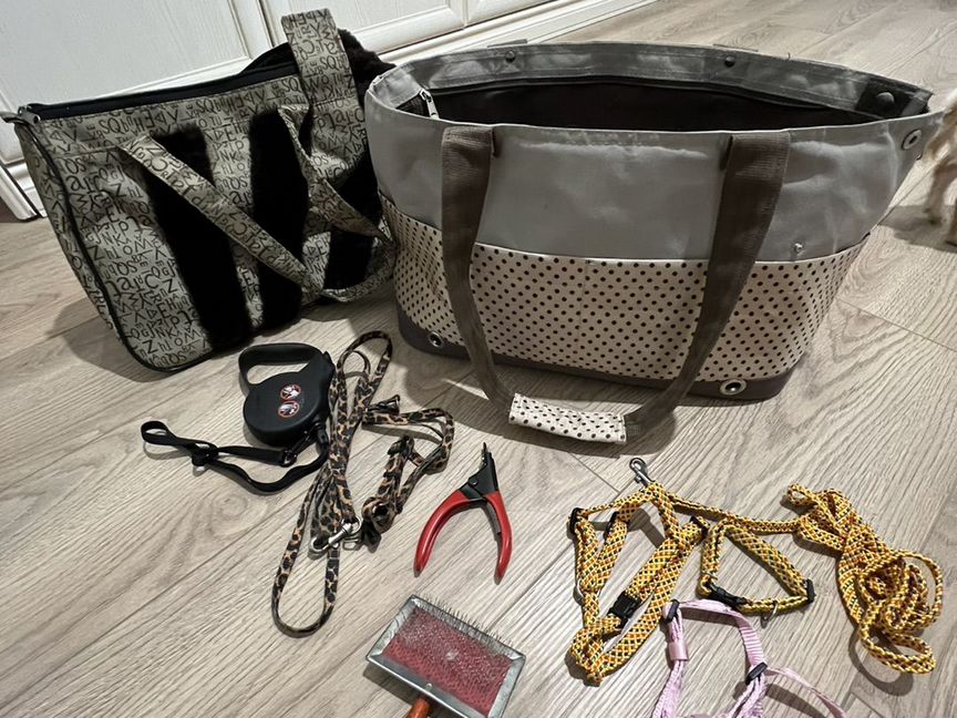 Переноска доя животного поводки