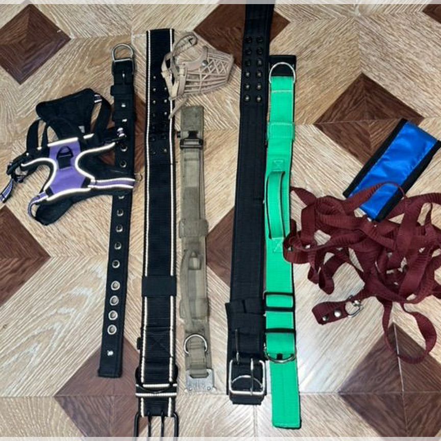 Амуниция для собак Tesla collar Ykka collar