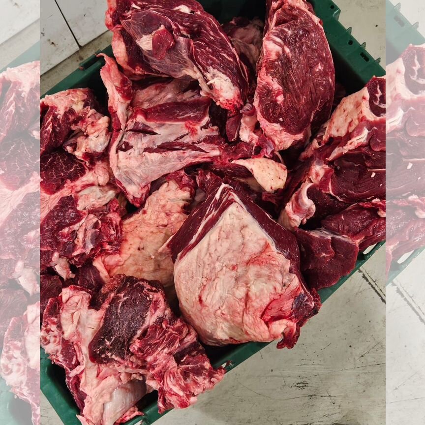 Мясо для собак