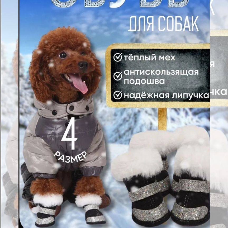Обувь для собак мелких пород