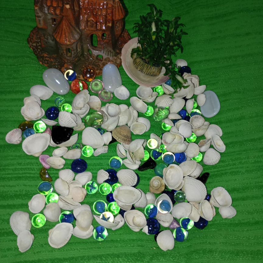 Для аквариума