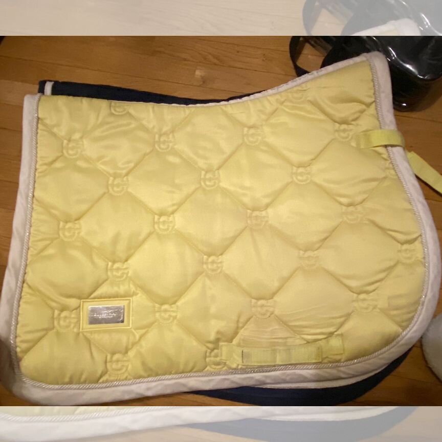 Вальтрап equestrian stockholm