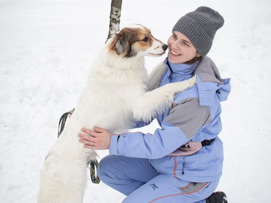 Ласковый Элвис мечтает о доме