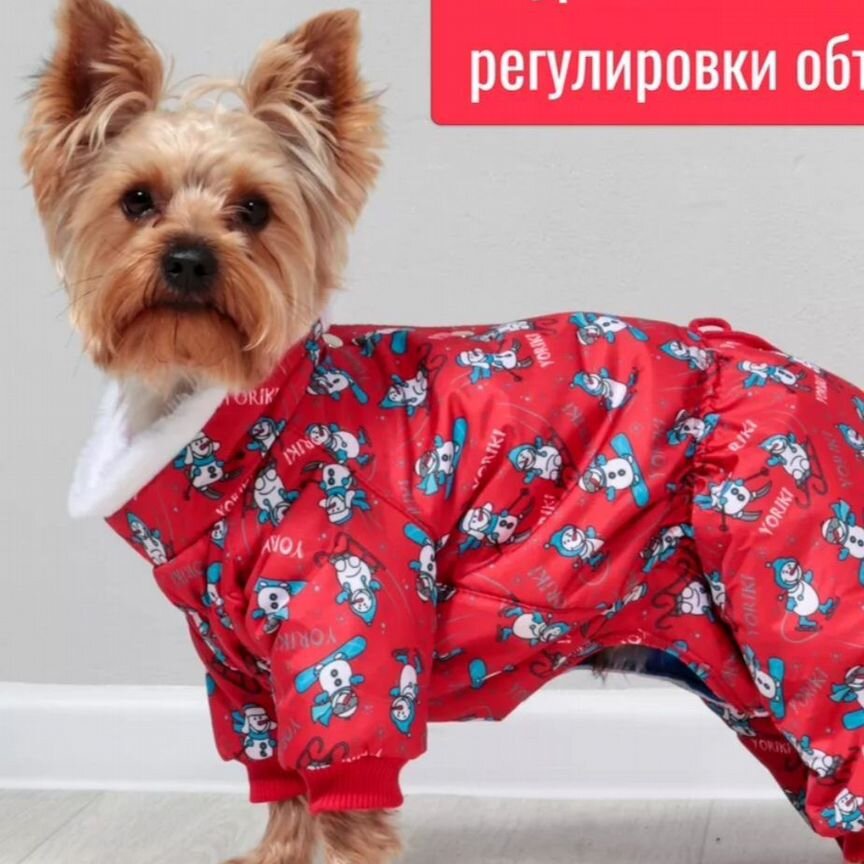 Одежда для маленьких собак