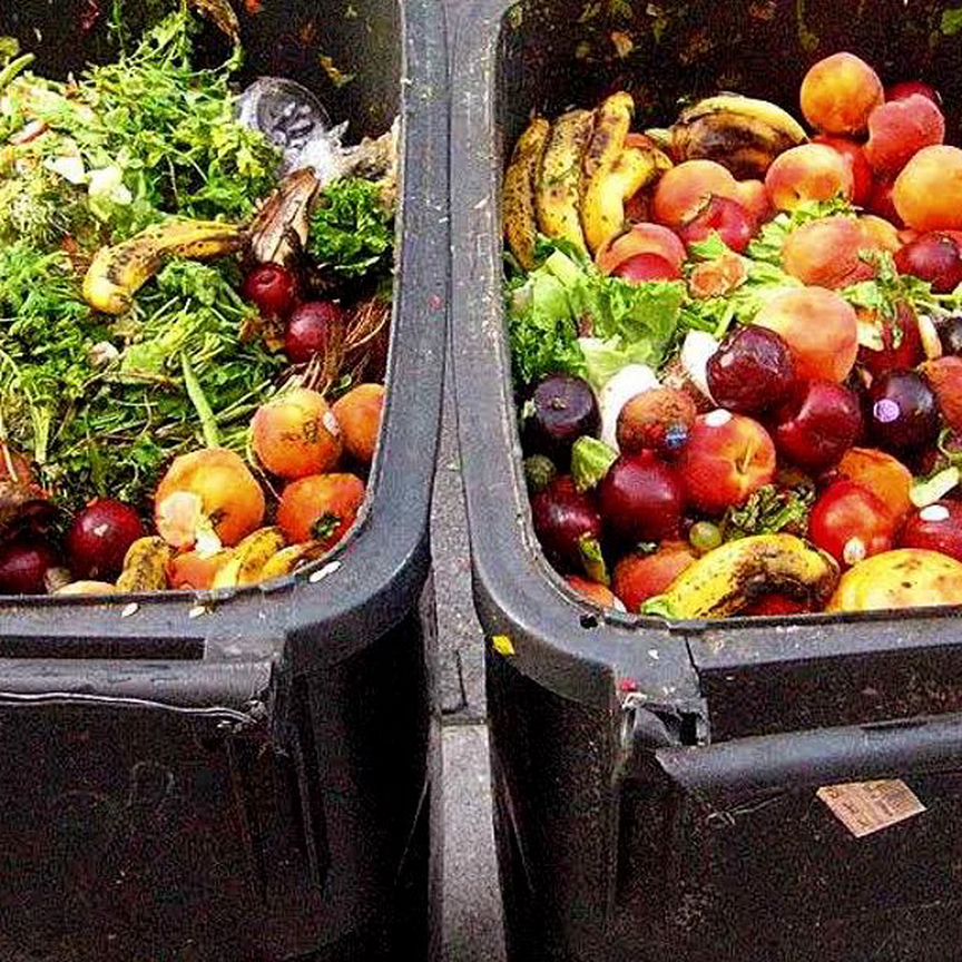 Пищевые отходы самовывоз