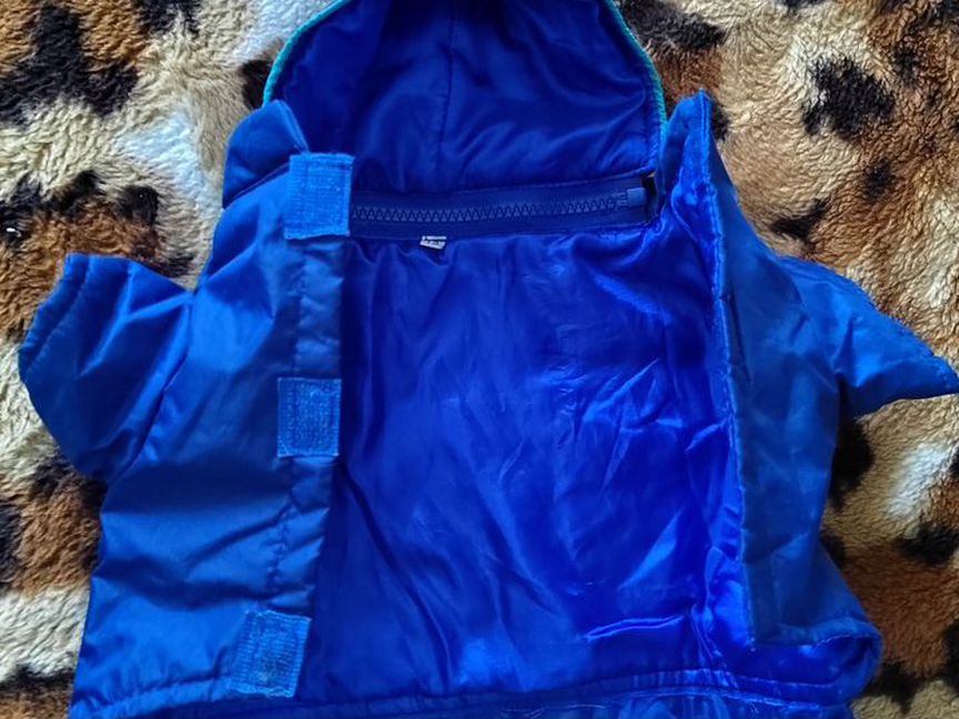 Полукомбинезон для маленькой собаки