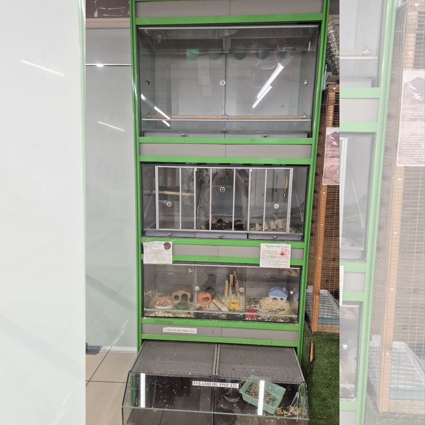 Террариумы, стеллажи, витрины