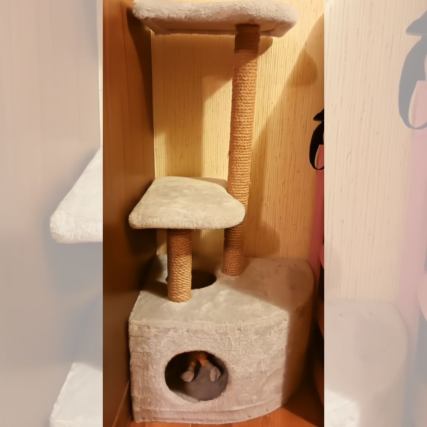 Когтеточка для кошек с лежанкой и домиком