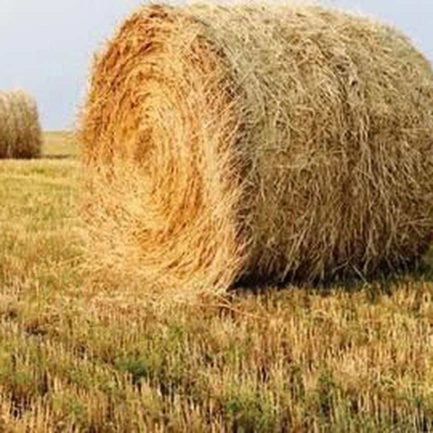 Солома в рулонах