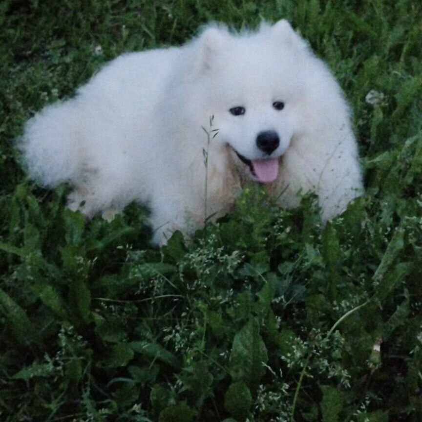 Мальчик ищет подружку