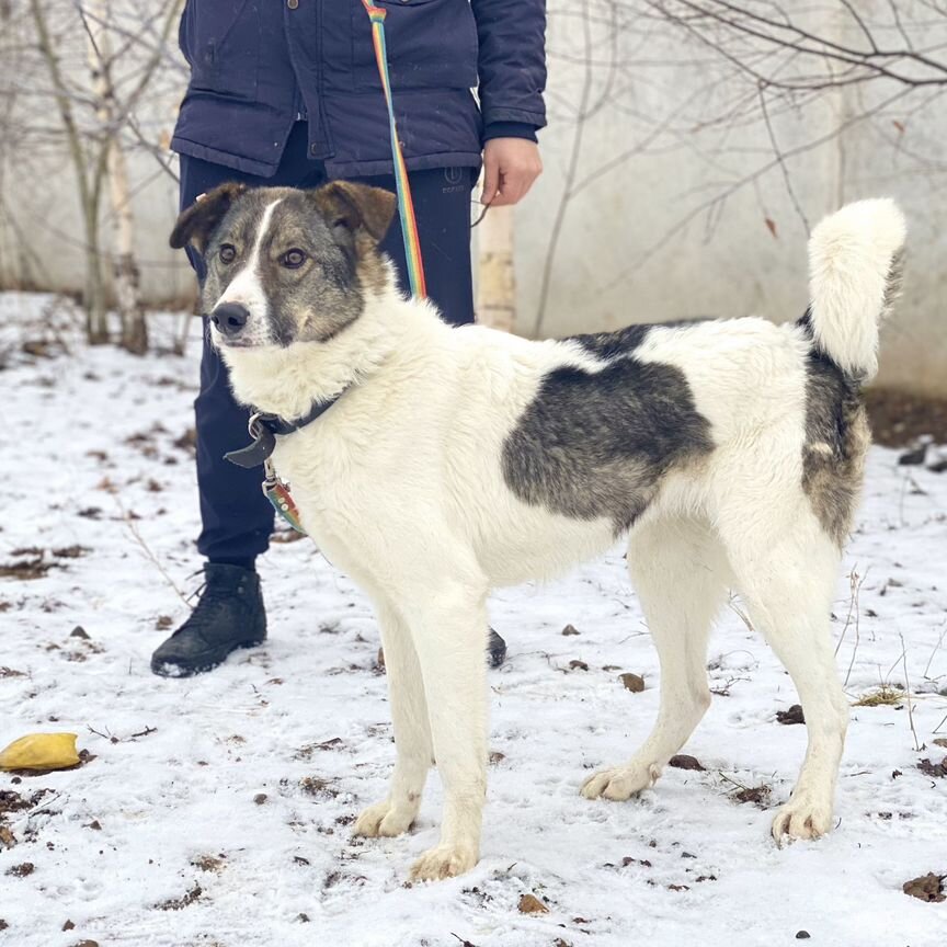 Умничка марта