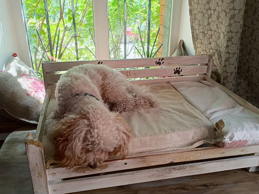 Лежанка для собак