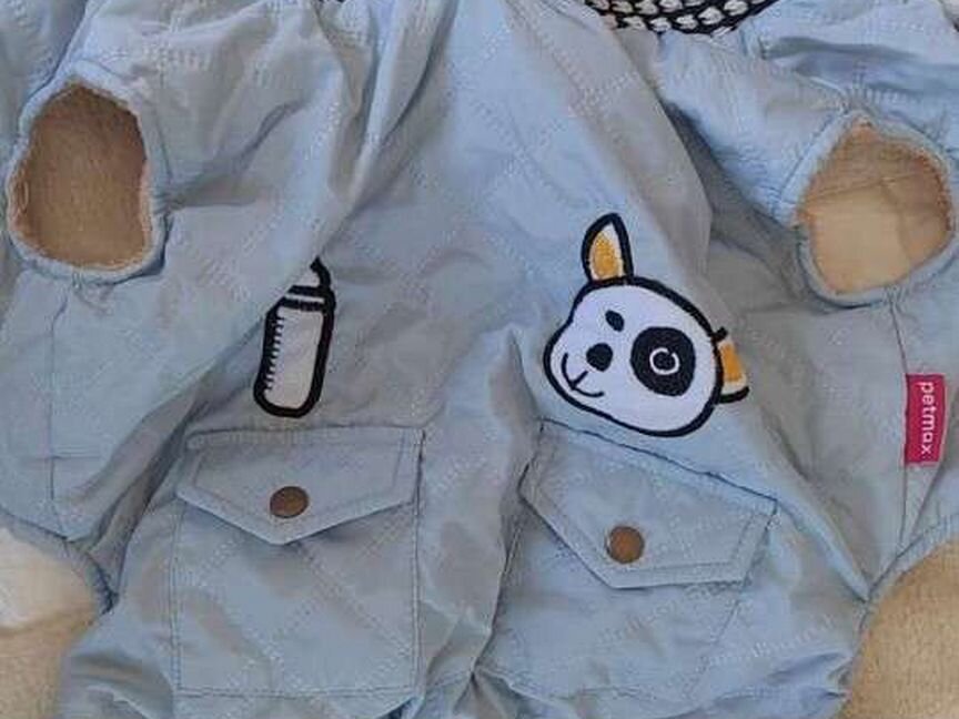 Комбинезон для щенка мопса