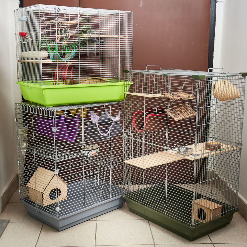 Клетка для крыс шиншилл дегу грызунов