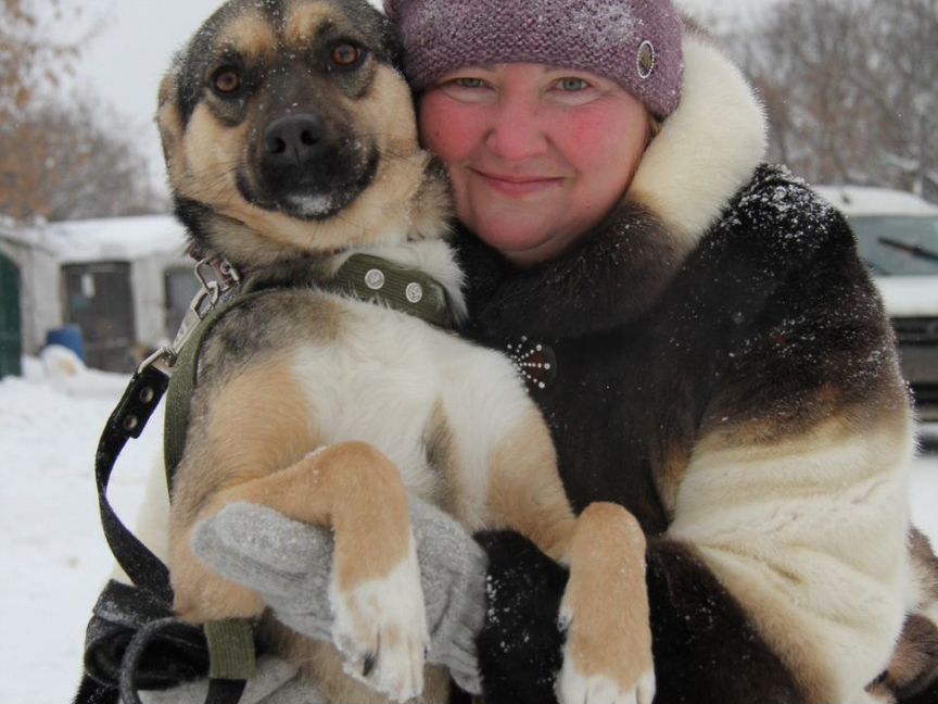 Собака