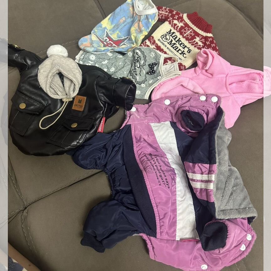 Одежда для маленьких собак