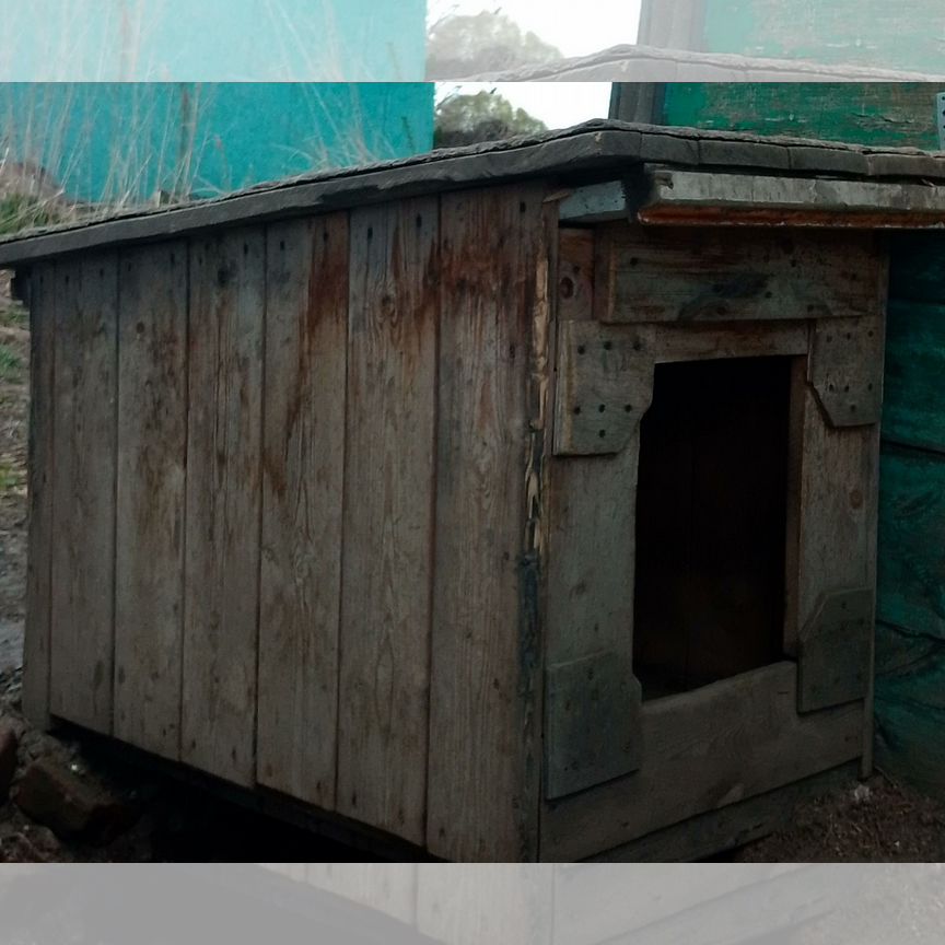 Будка для большой собаки бу