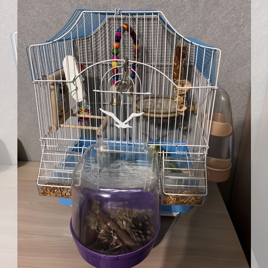 Волнистый попугай с клеткой