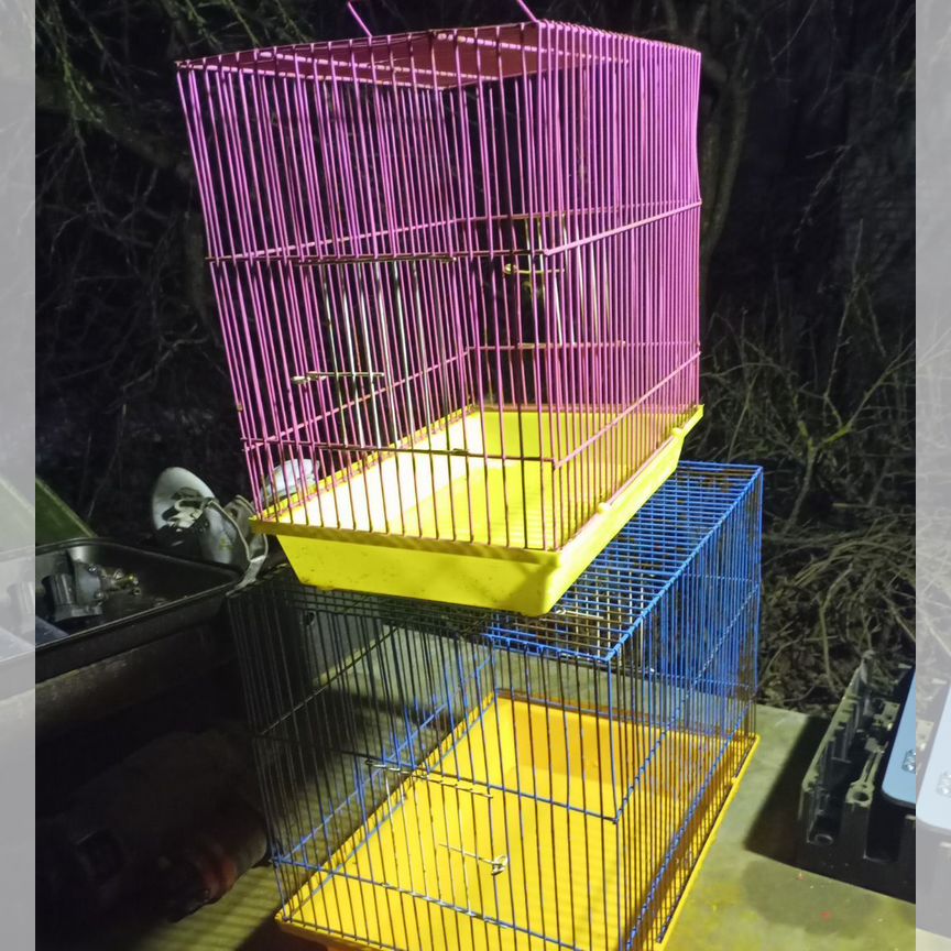 Клетки для грызунов