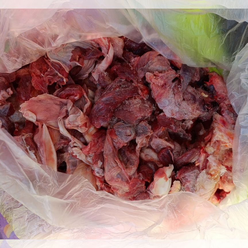 Корм для животных