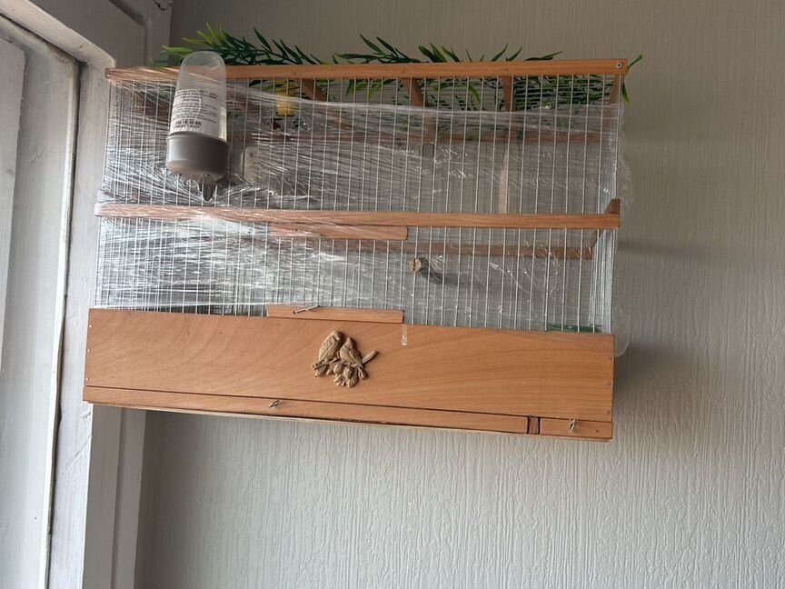 Кенар с клеткой