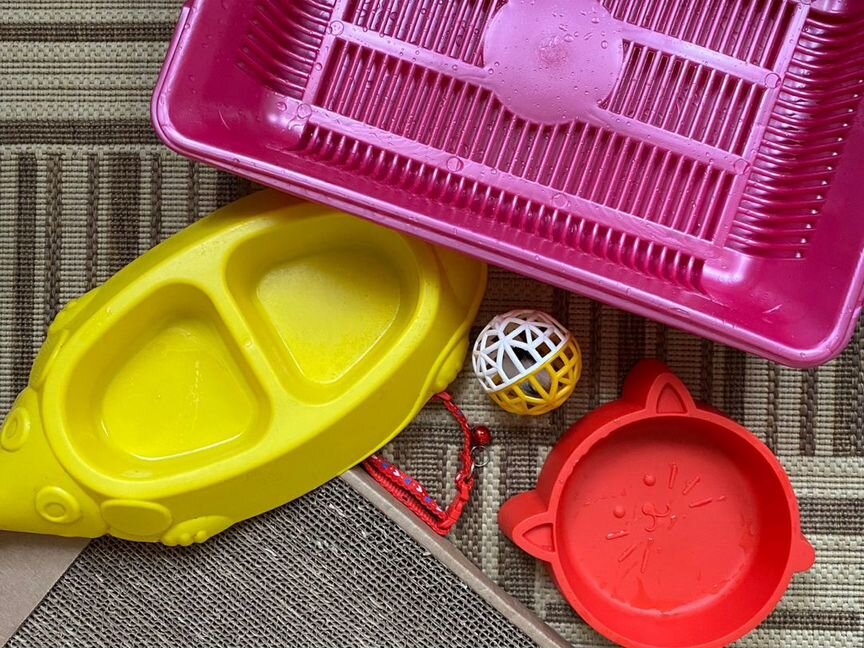 Принадлежности для кошек