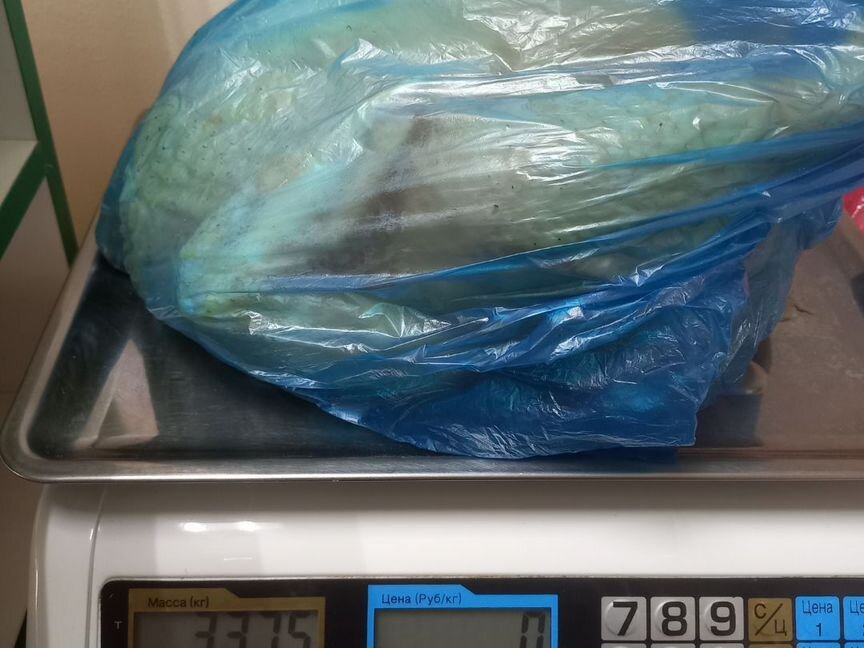 Броллеры домашние