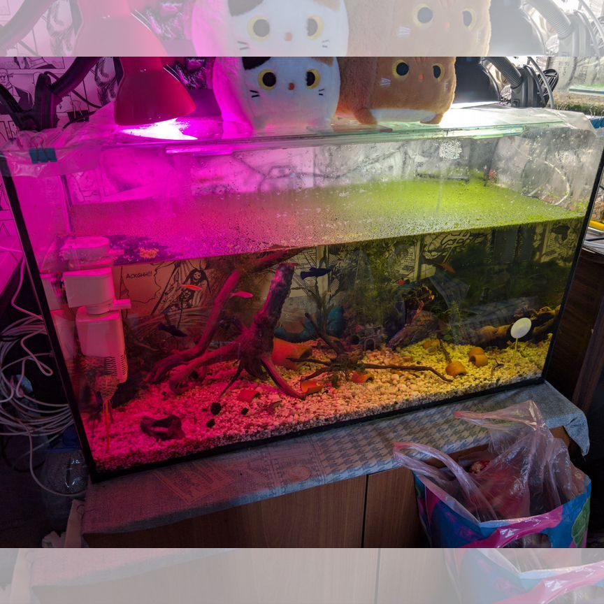 Аквариум с рыбками 150 литров