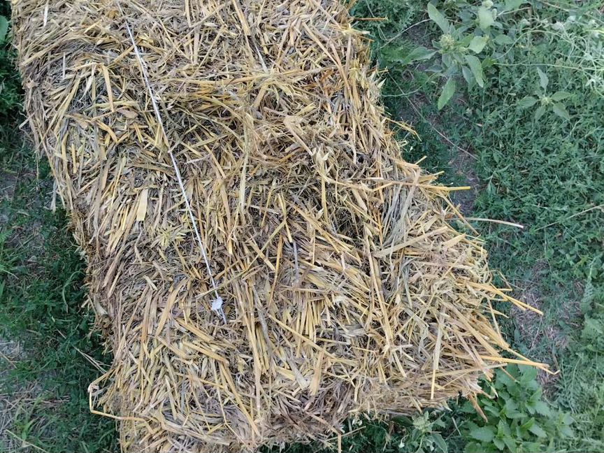 Сено в тюках