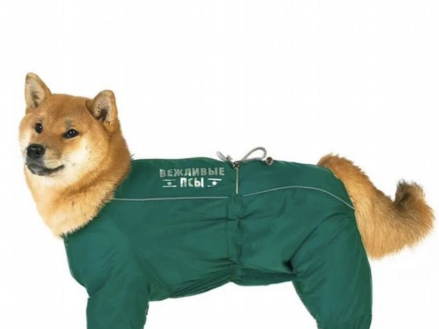 Одежда для собак / комбинезон 2 М размер