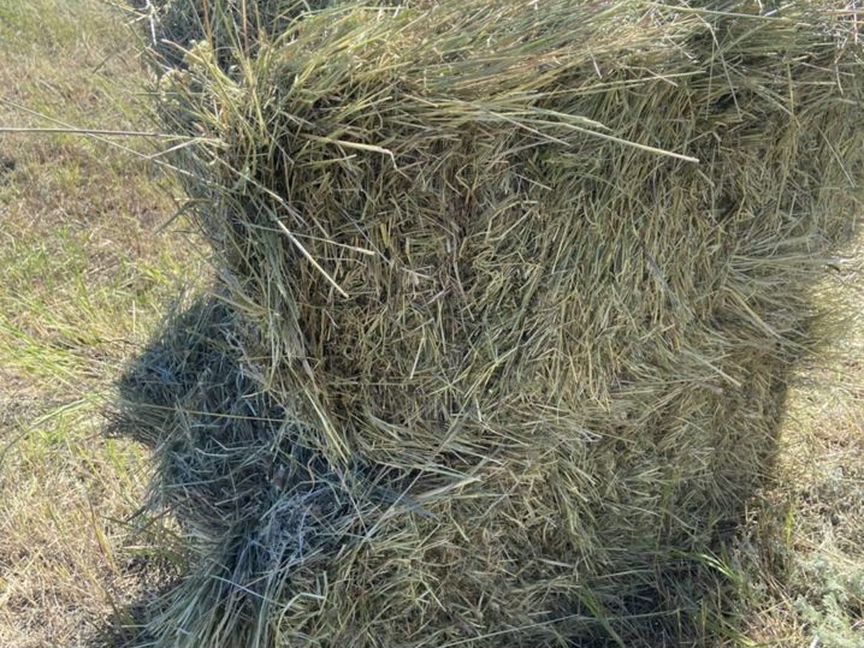 Сено, Солома в тюках