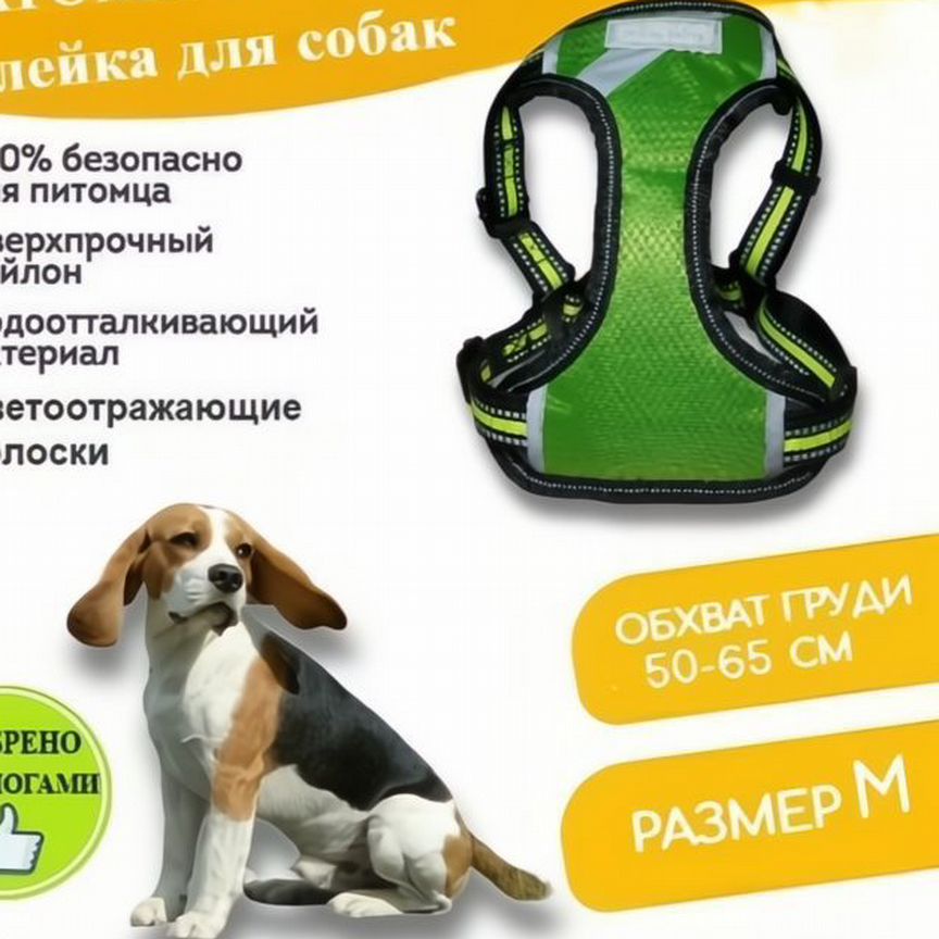 Шлейка и поводок размер М