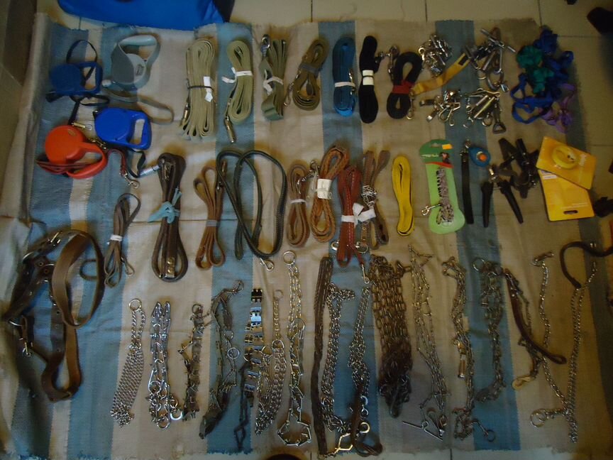 Поводки ошейники