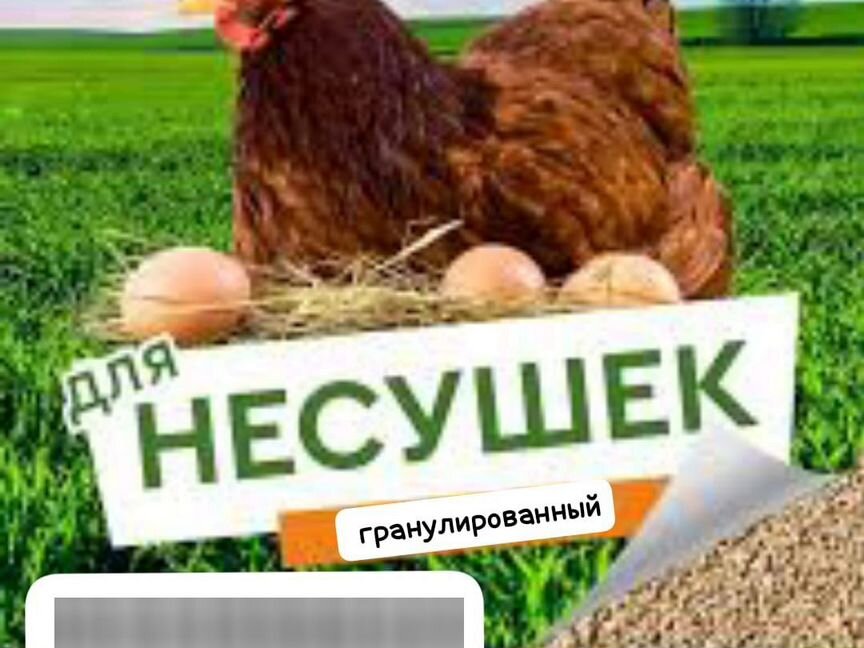 Комбикорм для несушек