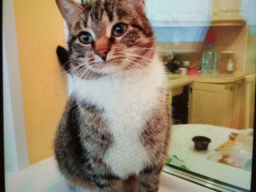 Дусенька 8,5 месяцев