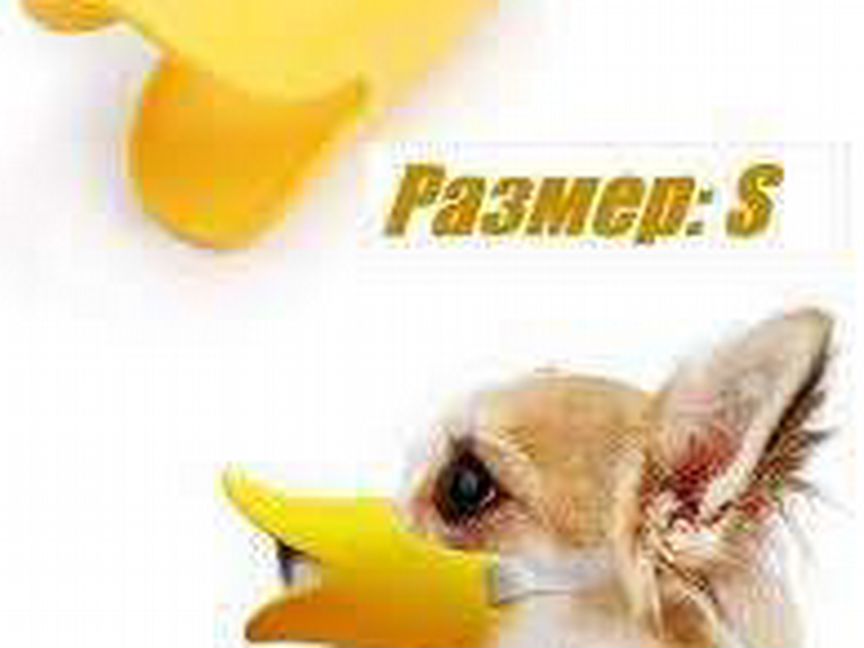 Силиконовый намордник для собак