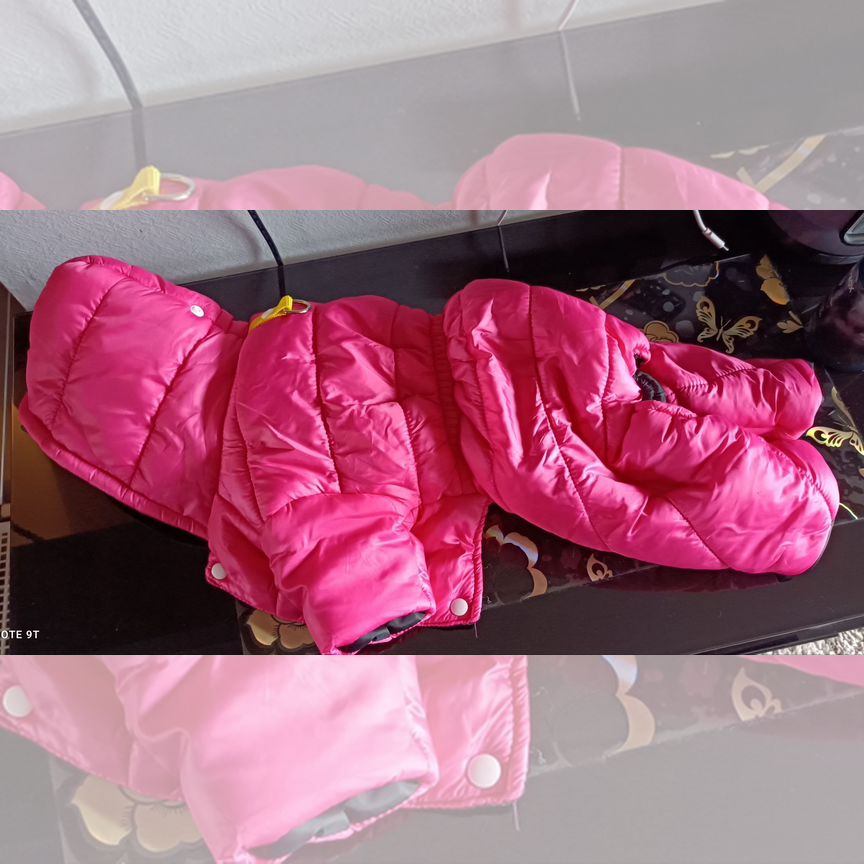 Одежда для собак