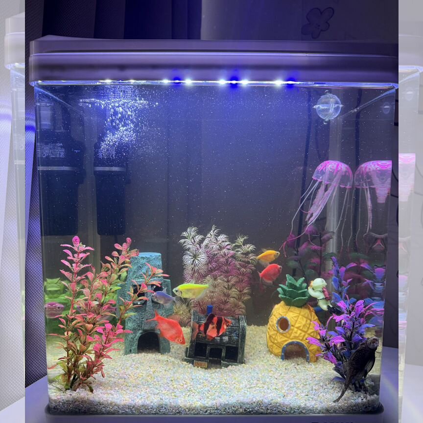 Аквариум с рыбками