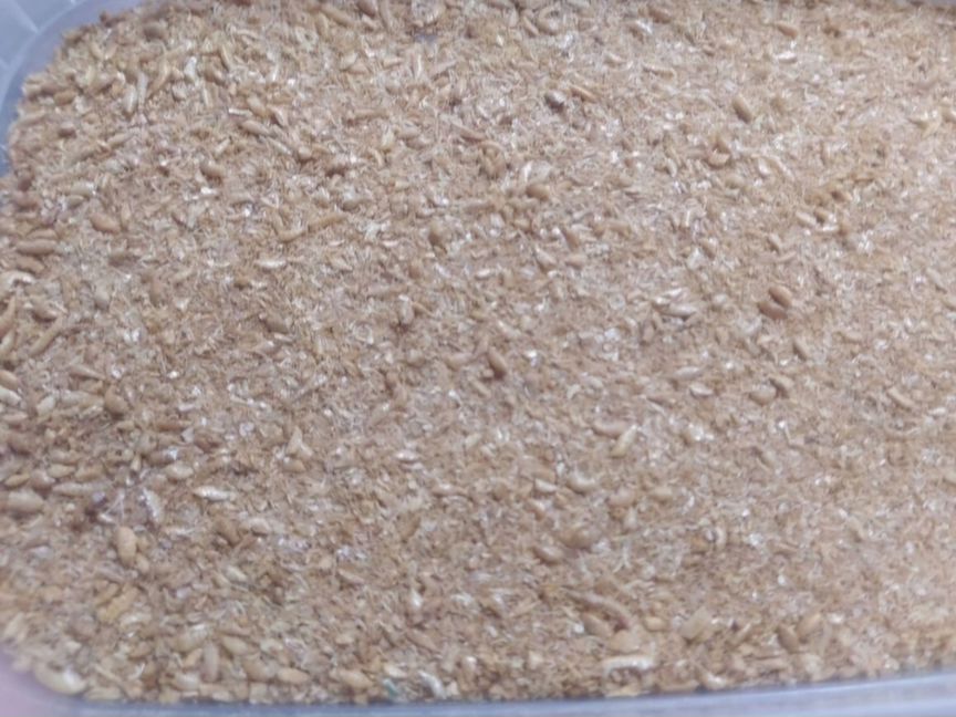 Гаммарус измельчённый корм для рыб