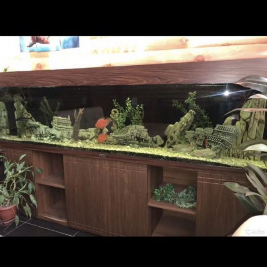Аквариум с тумбой 1000 литров