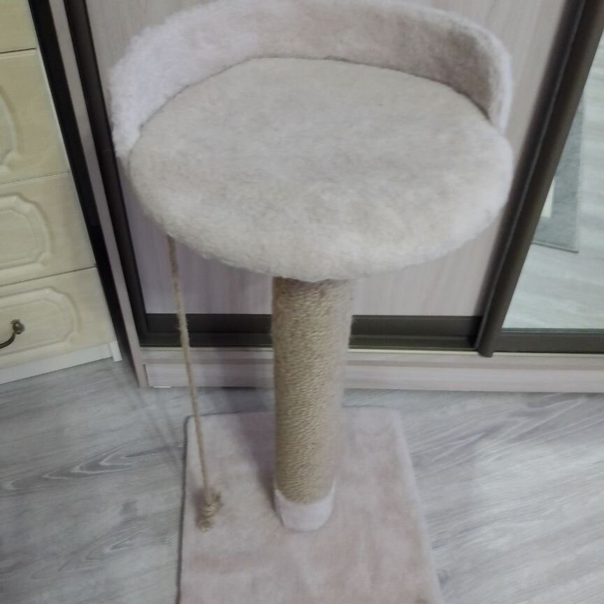 Когтеточка