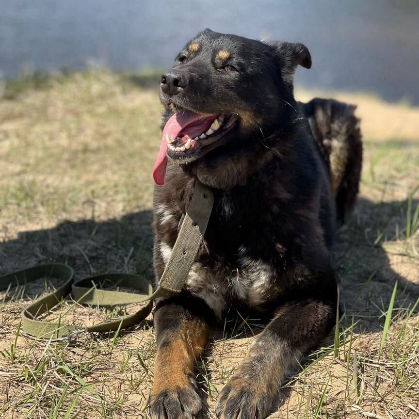 Лаки - полное счастье любви
