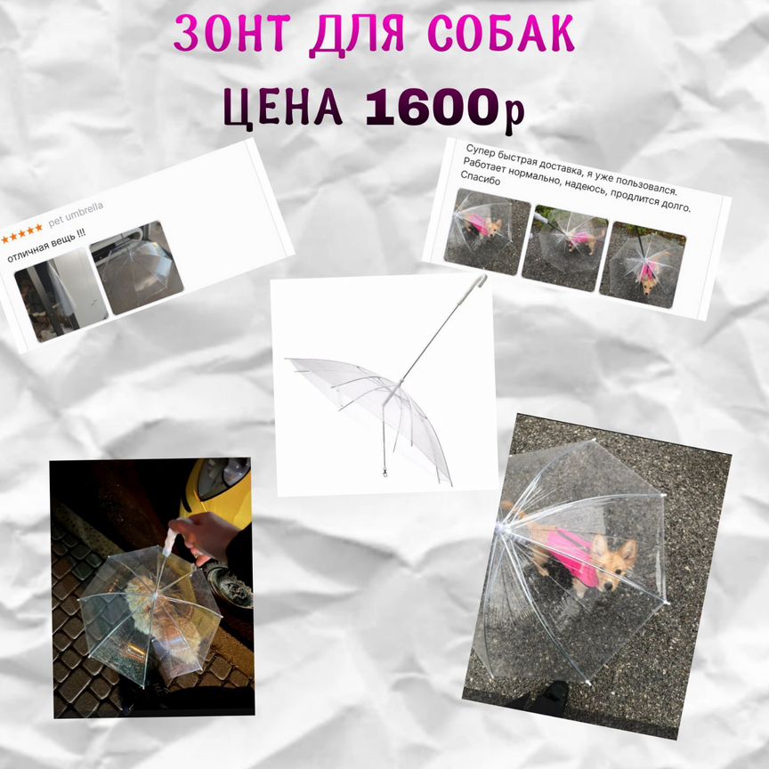 Зонт для собак