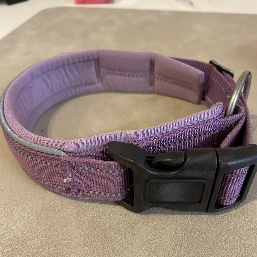 Ошейник нейлоновый светоотражающий